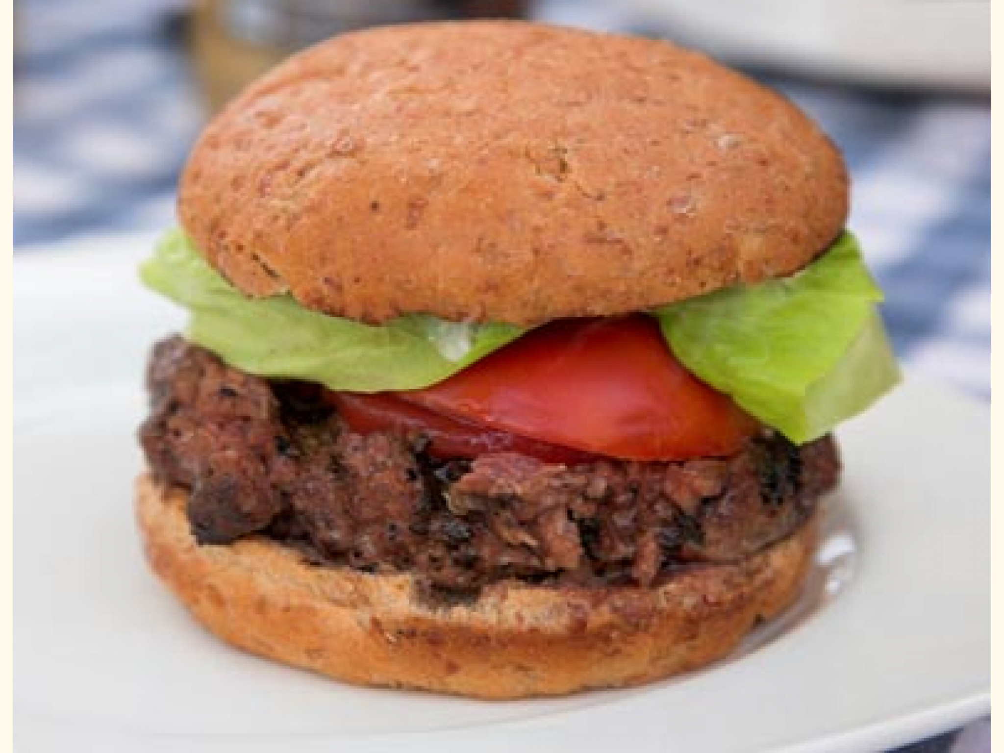 Organic Beef Burger Mix - Gluten Free - 50g (1kg Batch)